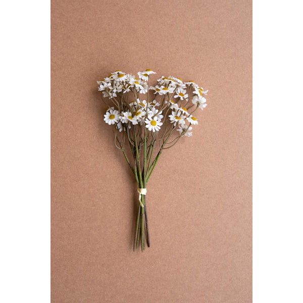 Chamomile Bundle | 6 Stems - Moss & Embers Home Decorum
