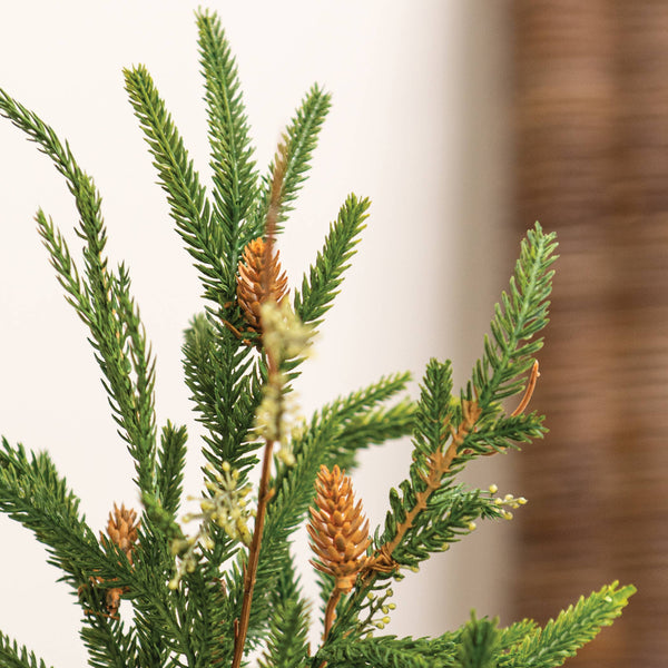 Soft Touch Austrian Pine Tree in Burlap Base | 24"H - Moss & Embers ...