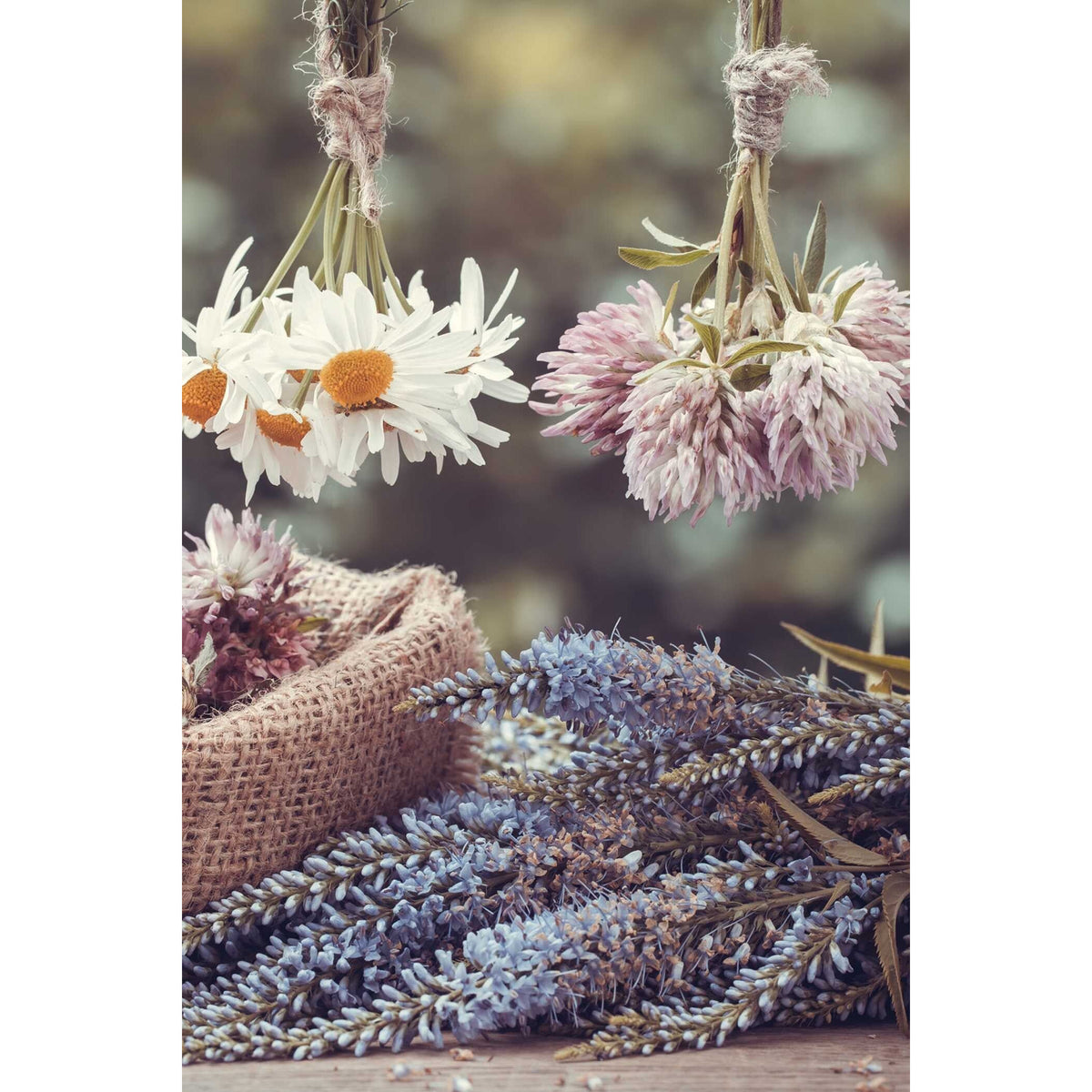 Vintage Cottagecore Wall Collage Kit | 60 (4" × 6") Poster Cards - Moss ...